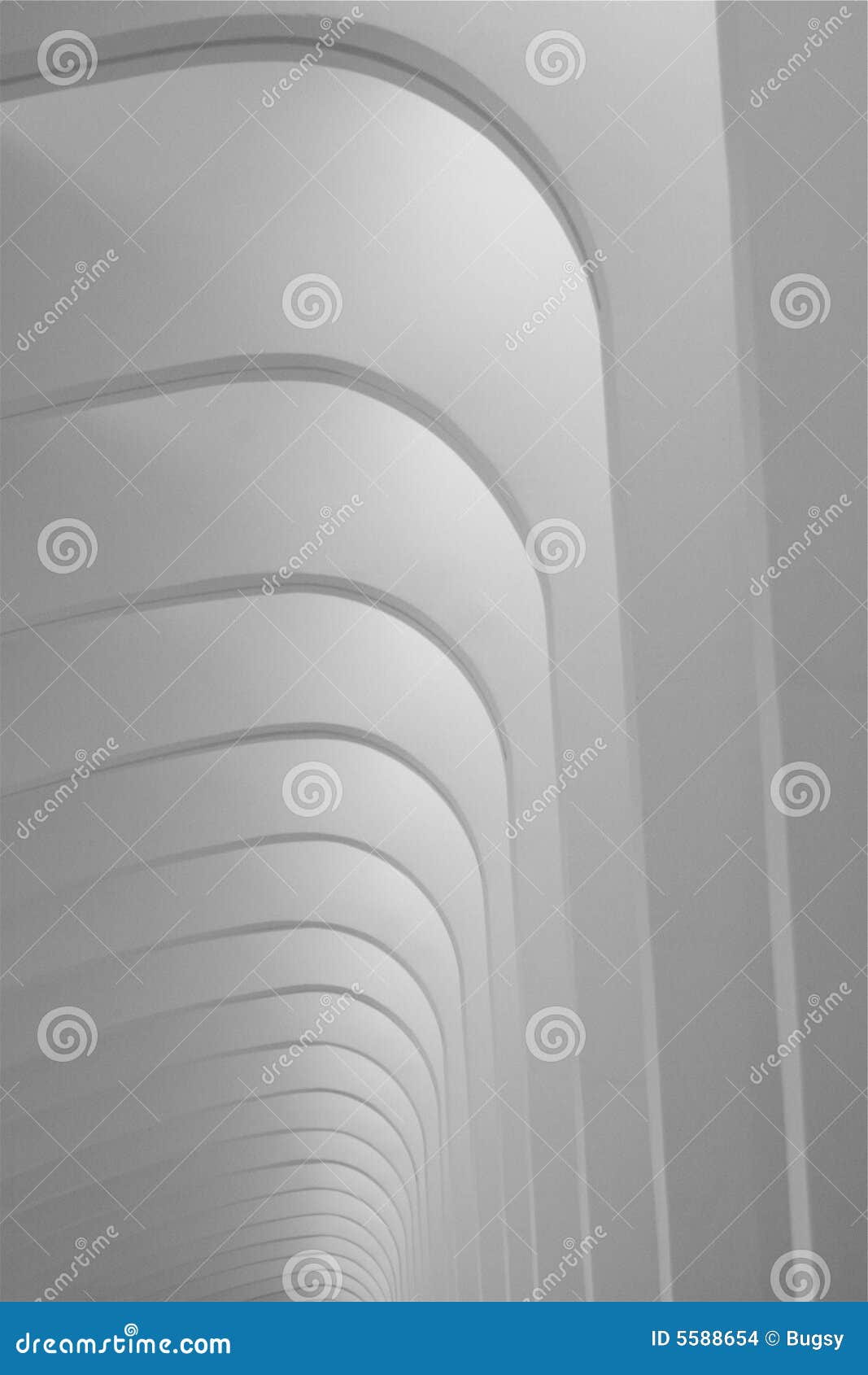 Cross Beam Curves stock photo. Image of design, elegant - 5588654