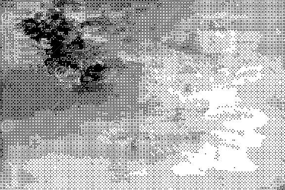 Cross Bitmap Abstract Texture Background High Resolution JPEG for ...