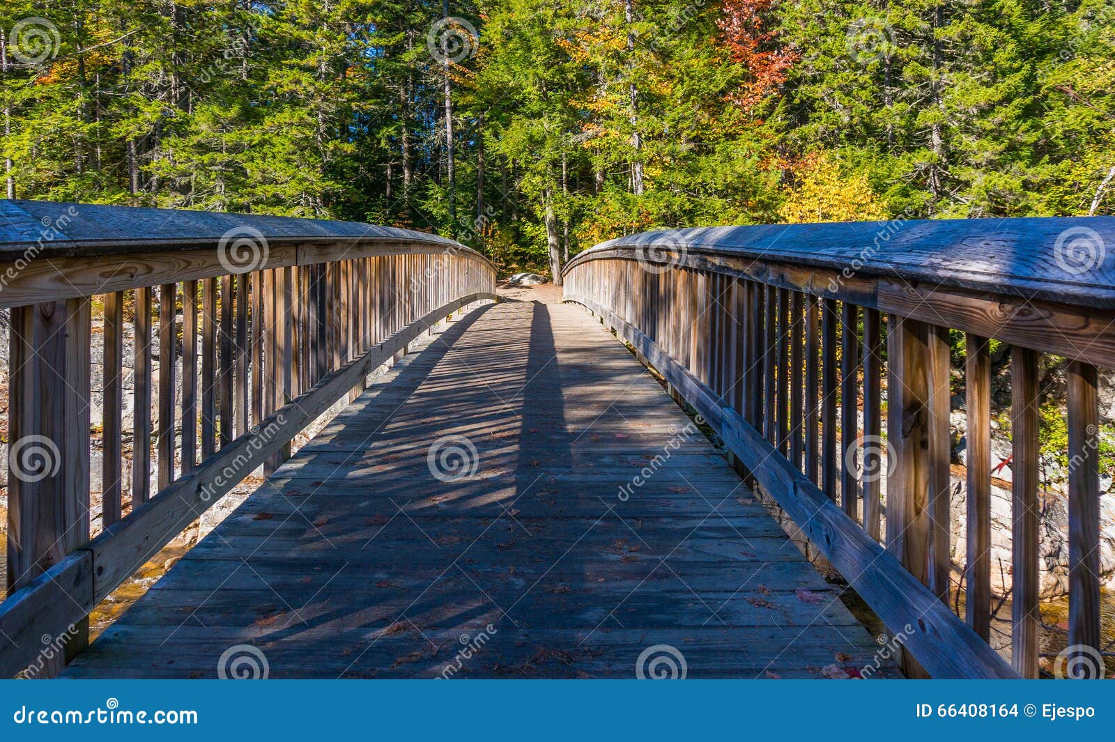 Cross the Bridge stock photo. Image of river, autumn - 66408164