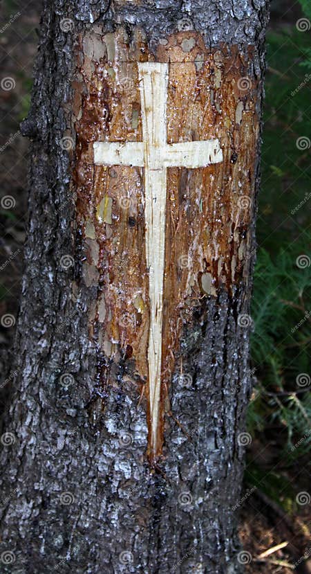 Cross Carved in a Tree stock photo. Image of vertical - 12690430