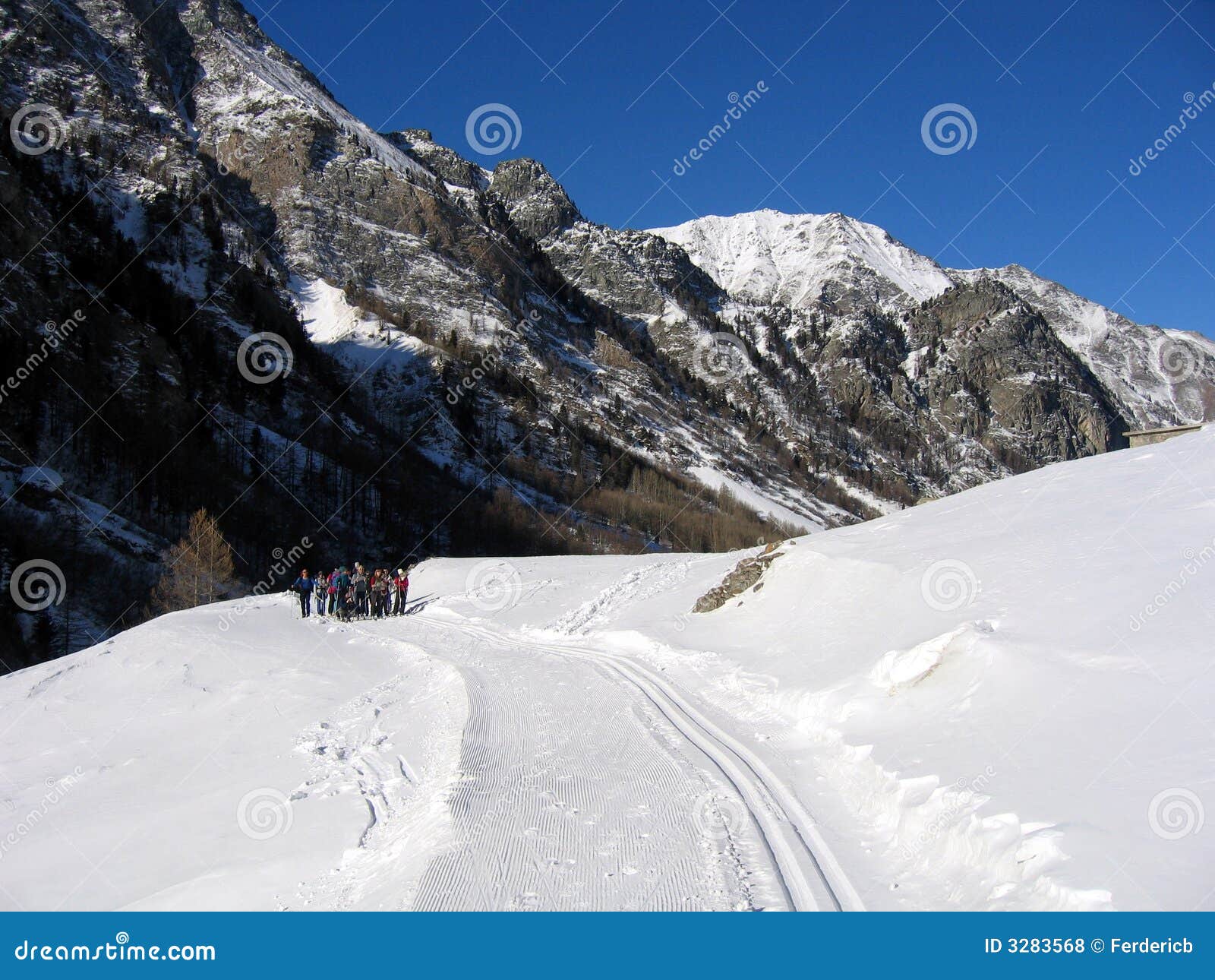Cross country stock photo. Image of skiers, track, family - 3283568