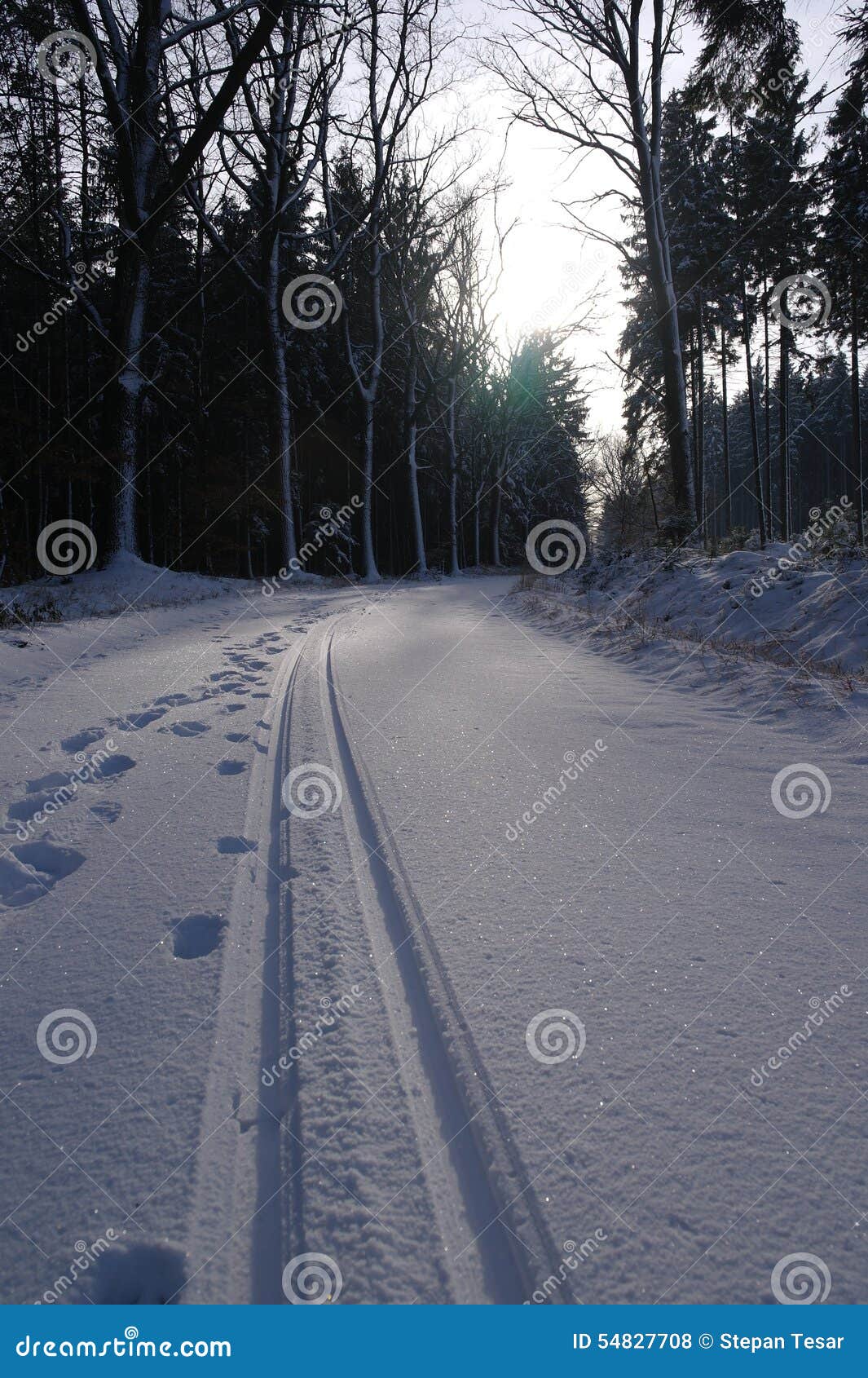 Cross-country path stock photo. Image of country, snow - 54827708