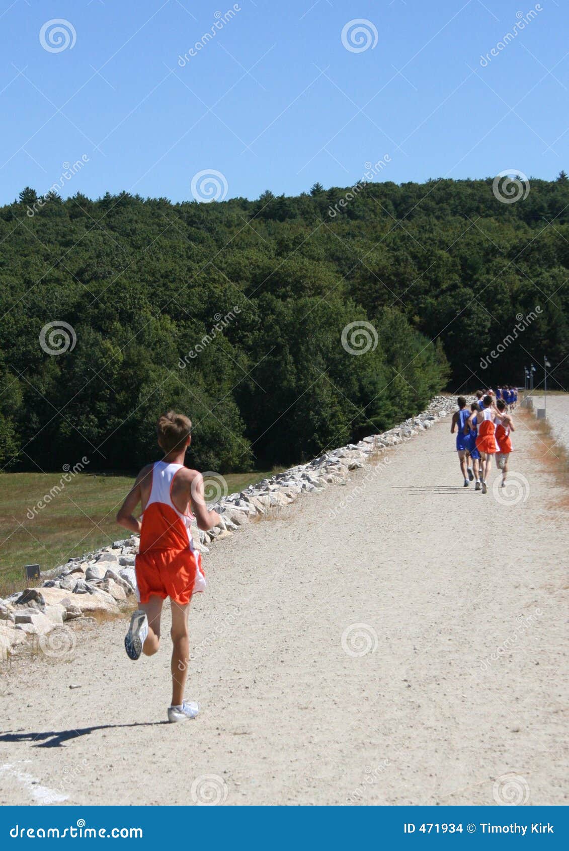Cross Country Runners stock photo. Image of shoe, dirt - 471934