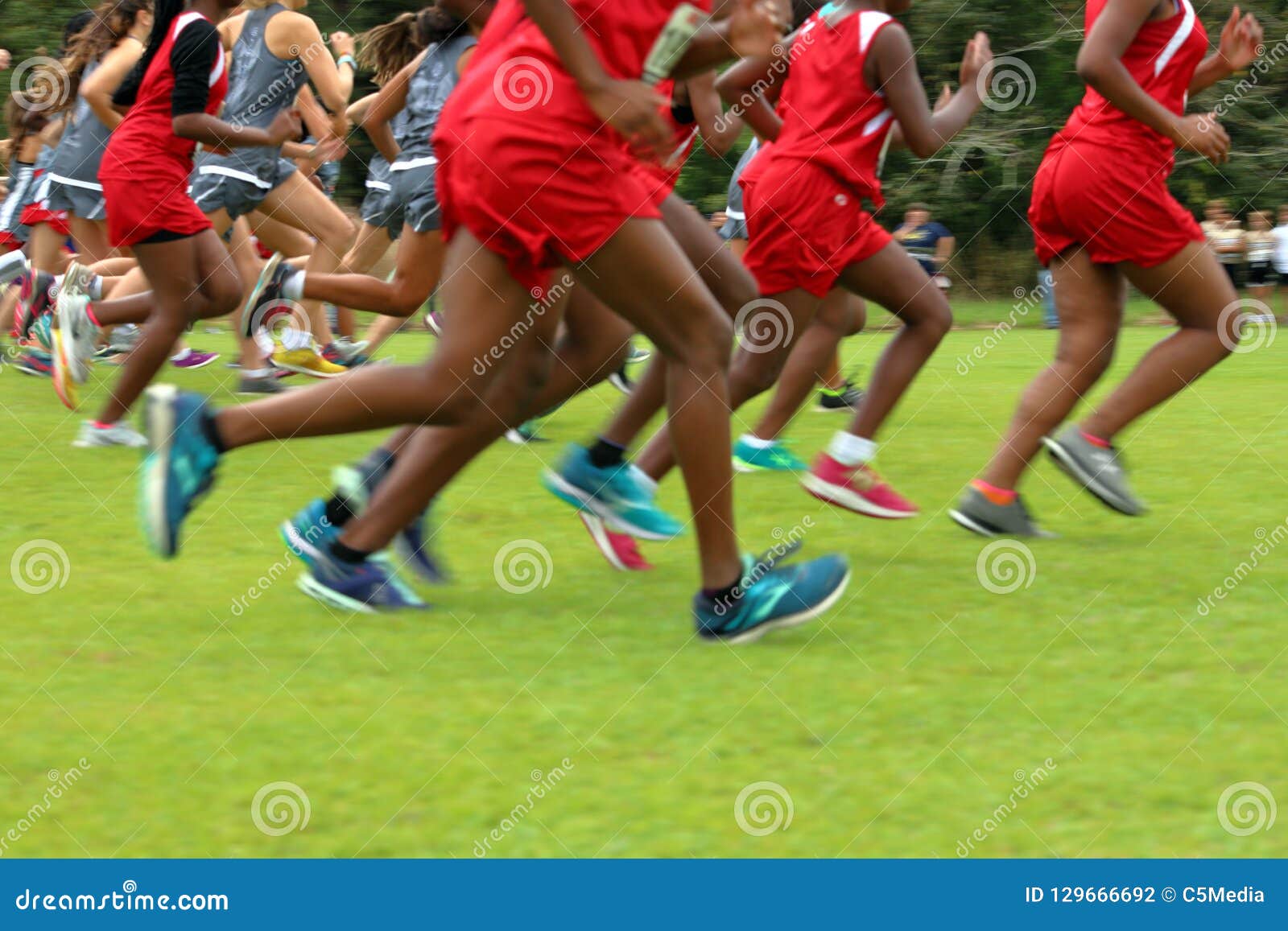 Cross Country Runners on Green Grass Stock Photo - Image of ground ...