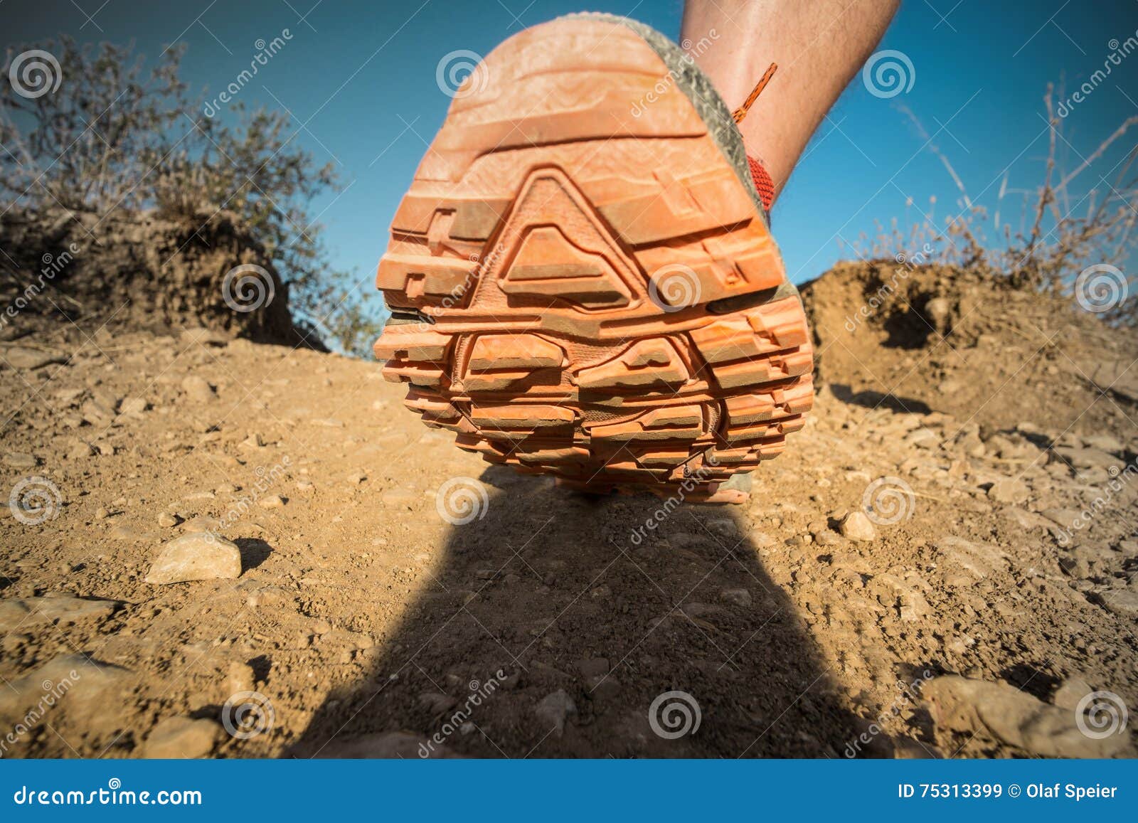 Cross country running stock image. Image of sport, jogging - 75313399