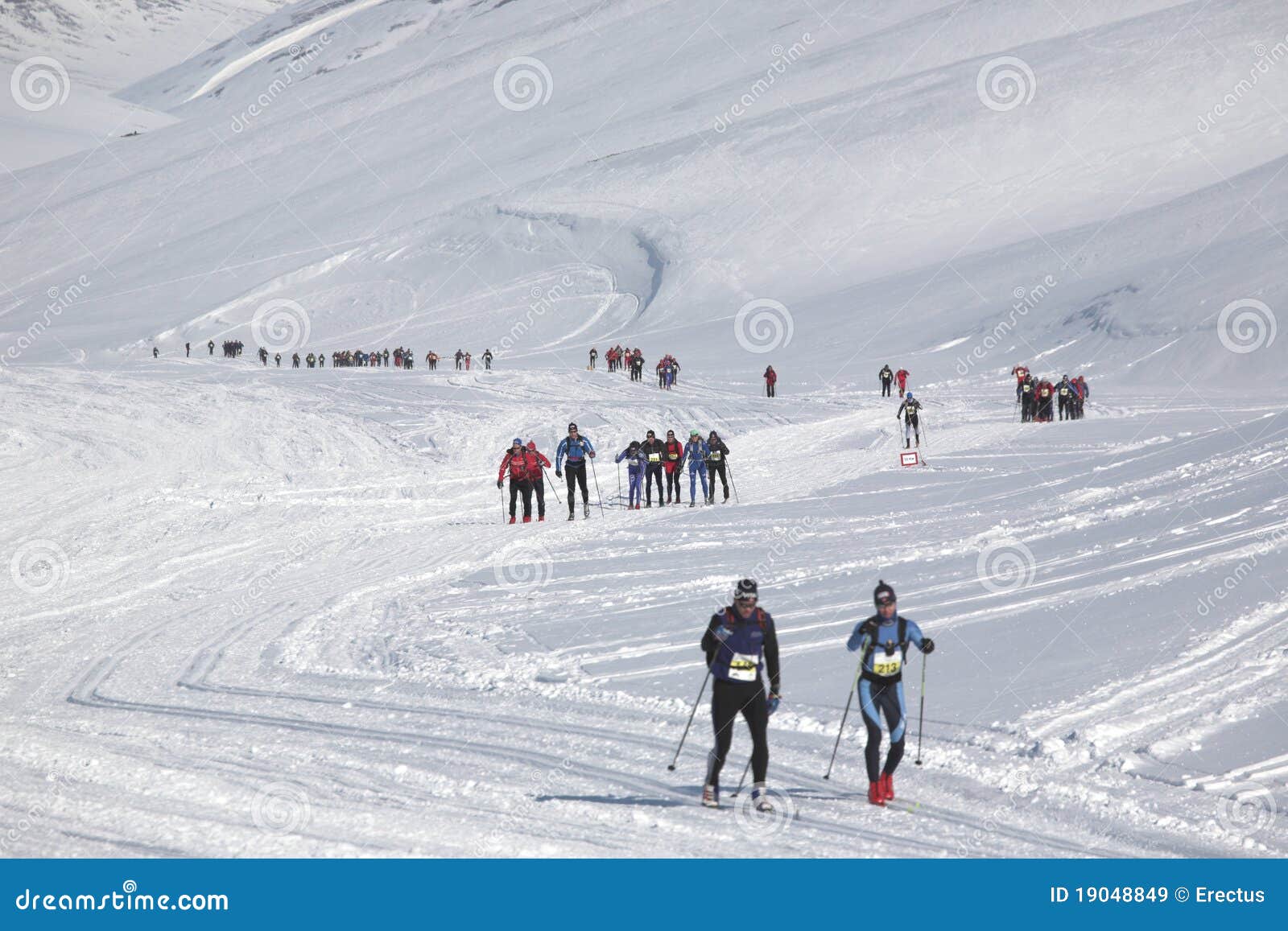 Cross Country Ski Marathon Svalbard Marathon Editorial Stock Image ...