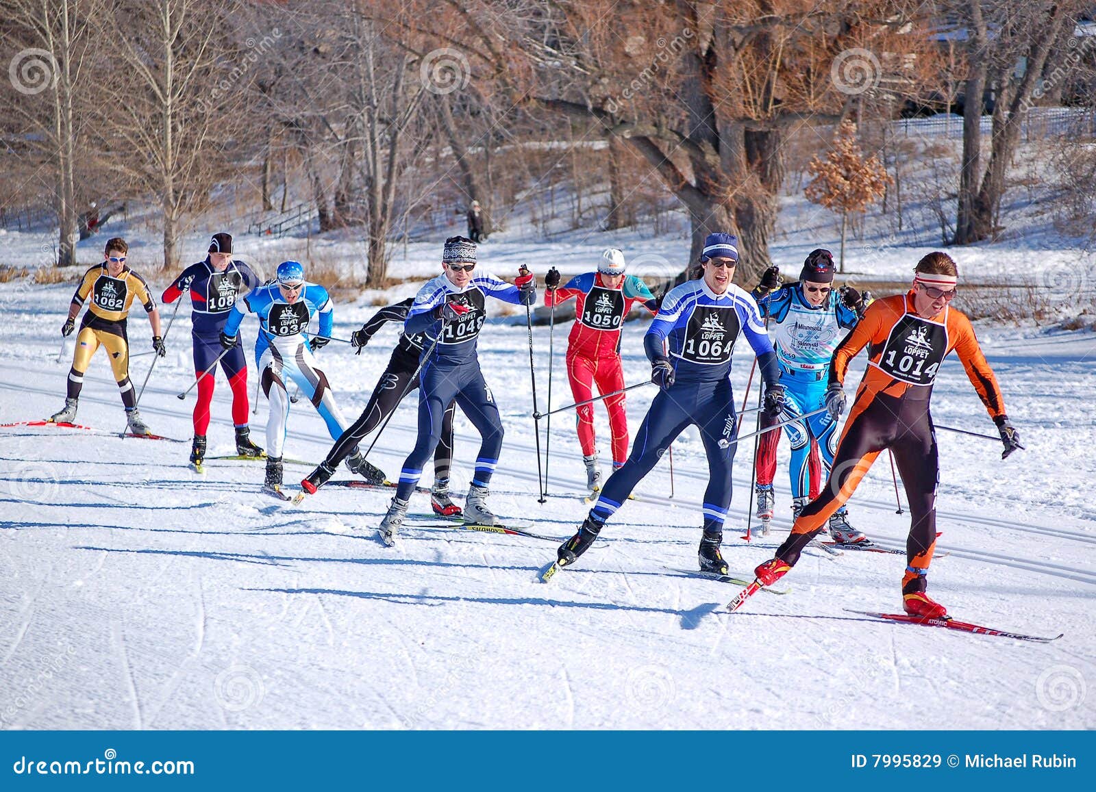 Cross Country Ski Race editorial stock image. Image of loppet - 7995829
