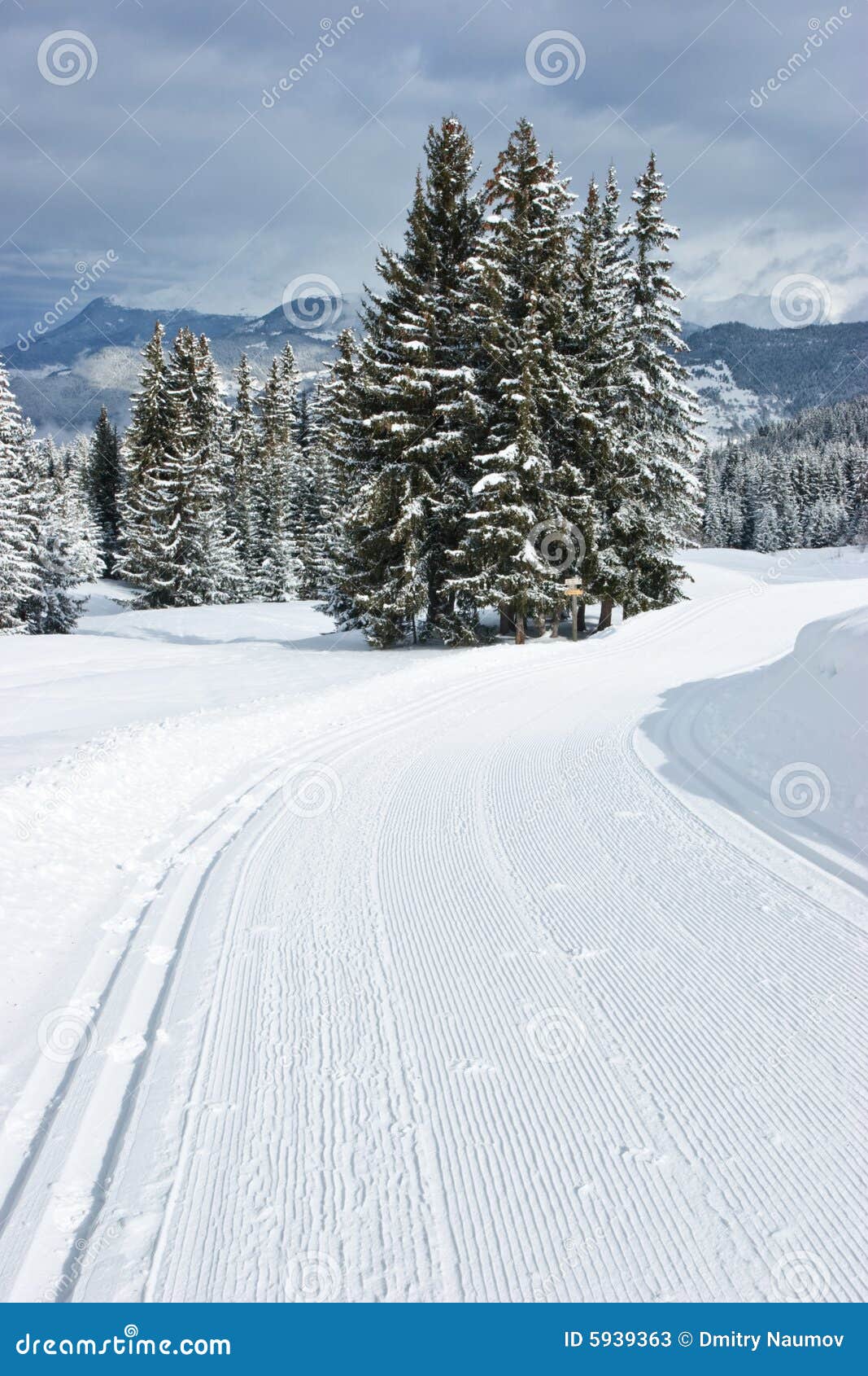 Cross-country ski track stock image. Image of activity - 5939363