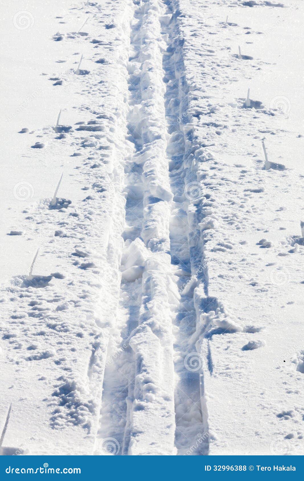 Cross country ski tracks stock photo. Image of exercise - 32996388