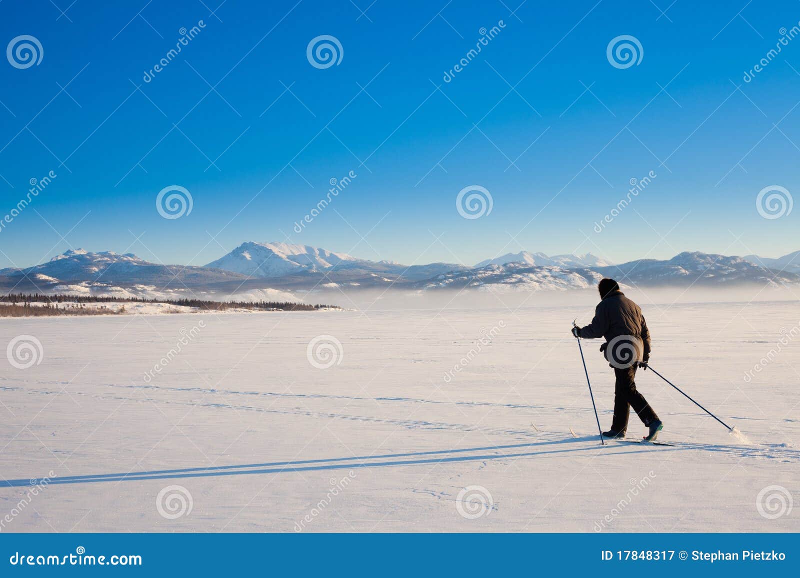 Cross-Country Skier Long Shadow Stock Image - Image of shadow ...