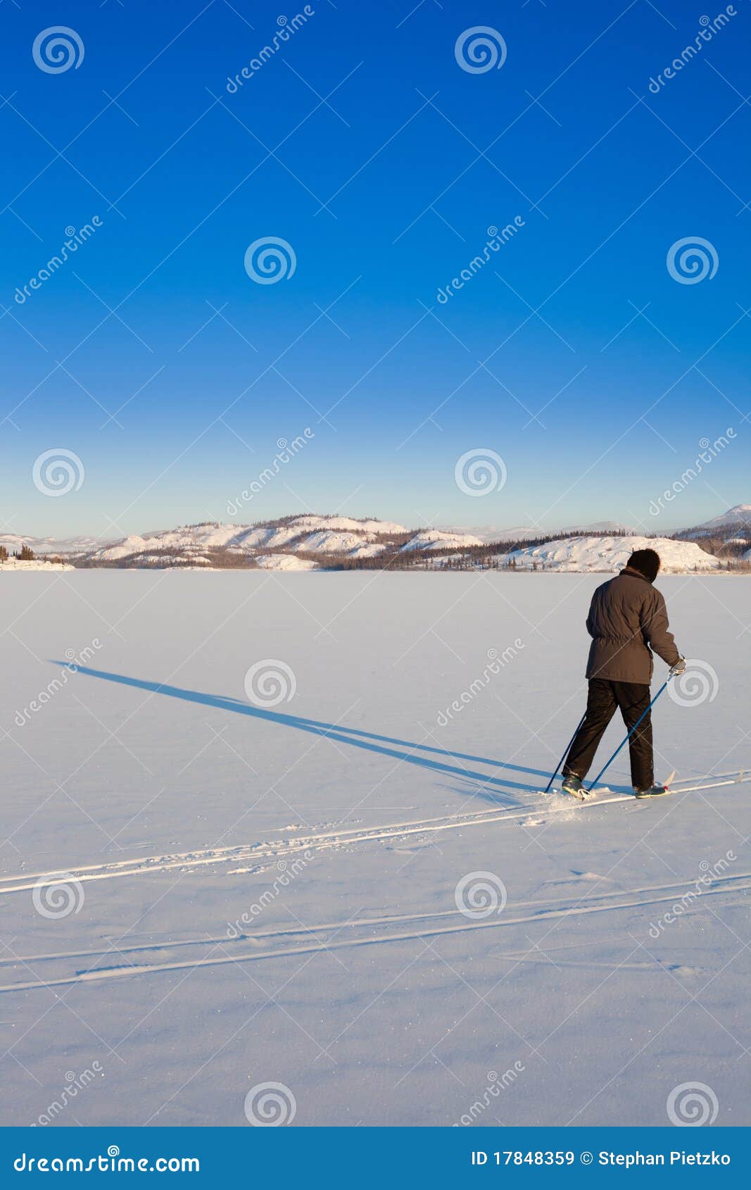 Cross-Country Skier Long Shadow Stock Image - Image of skier, nature ...