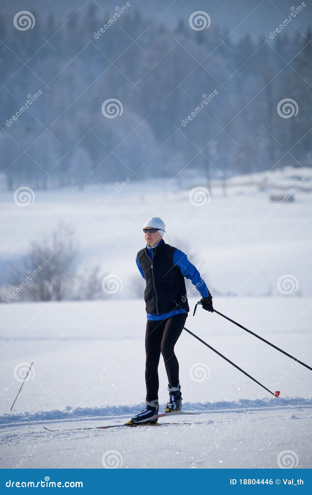 Cross-country skiing stock photo. Image of training, lifestyles - 18804446