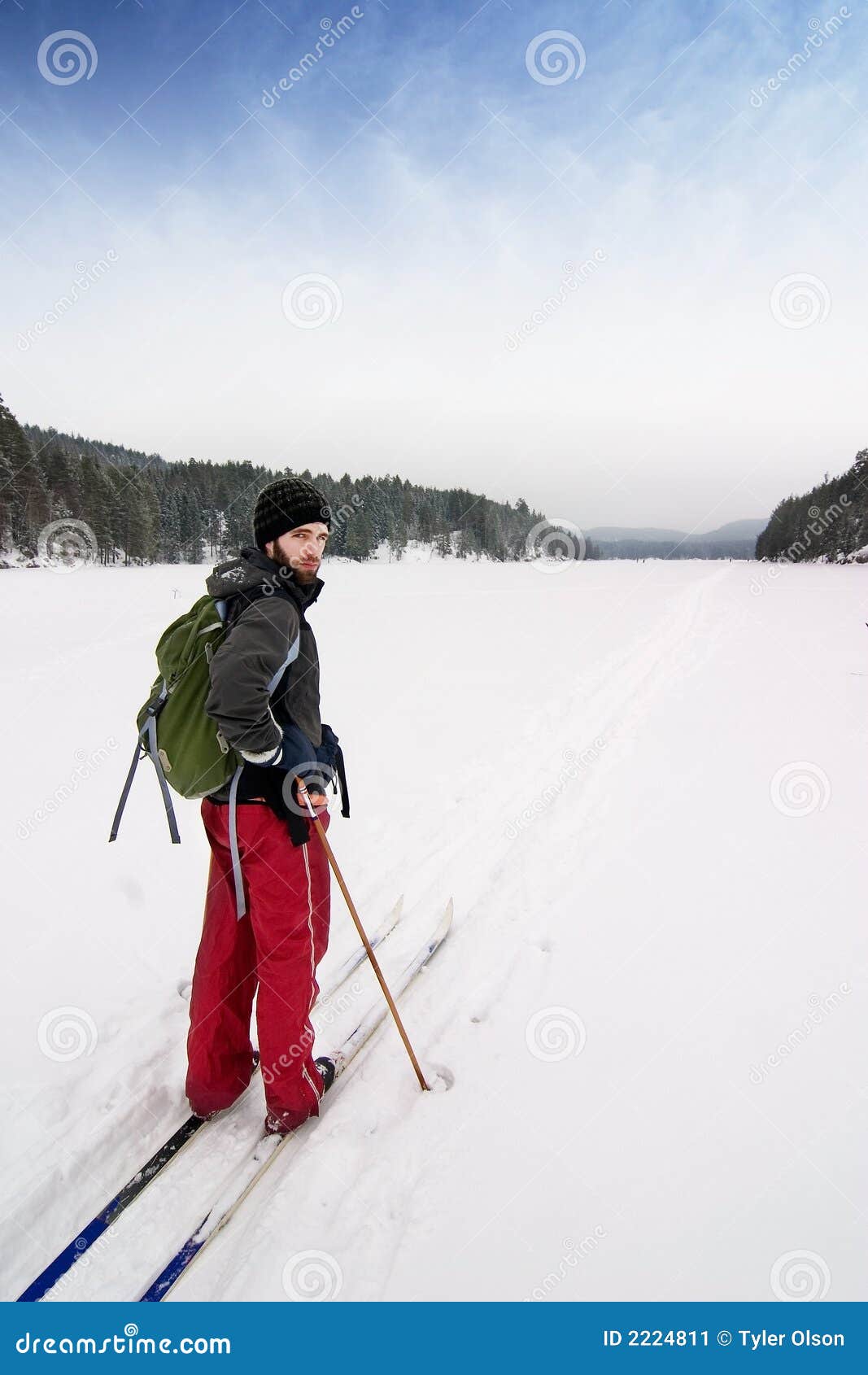 Cross Country Skiing stock image. Image of male, frozen - 2224811