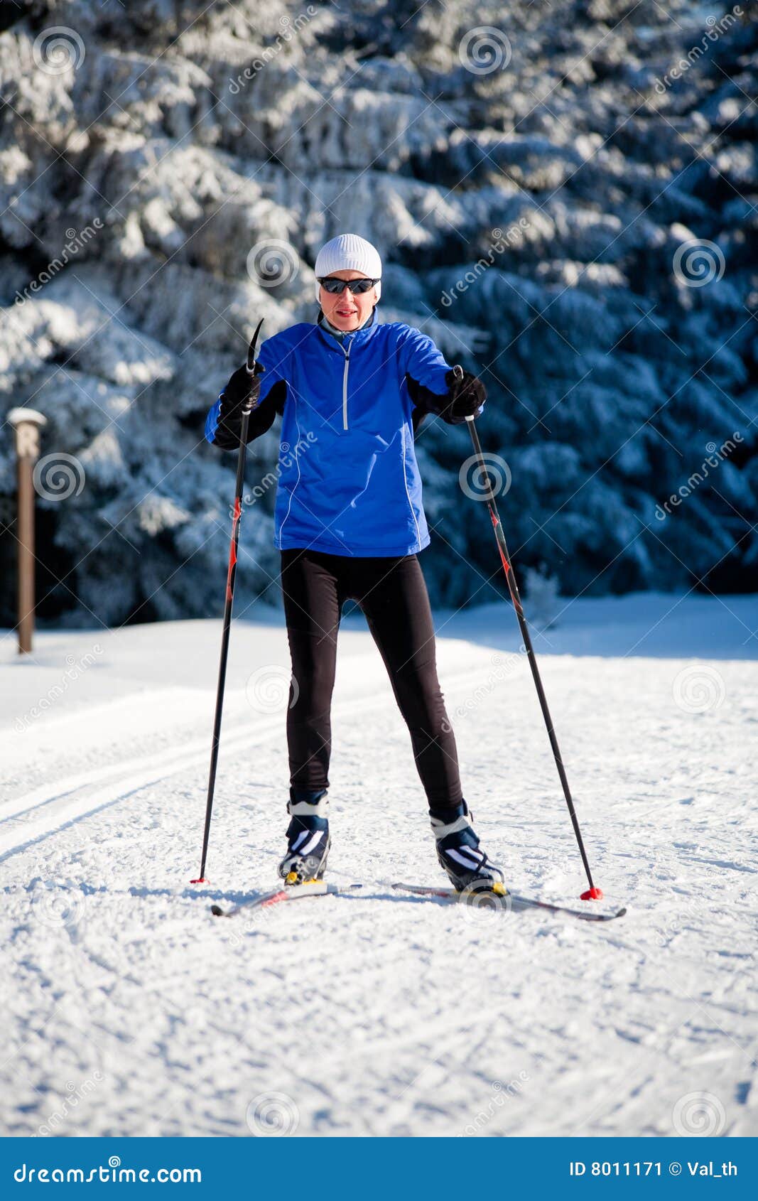 Cross-country skiing stock image. Image of alps, activity - 8011171