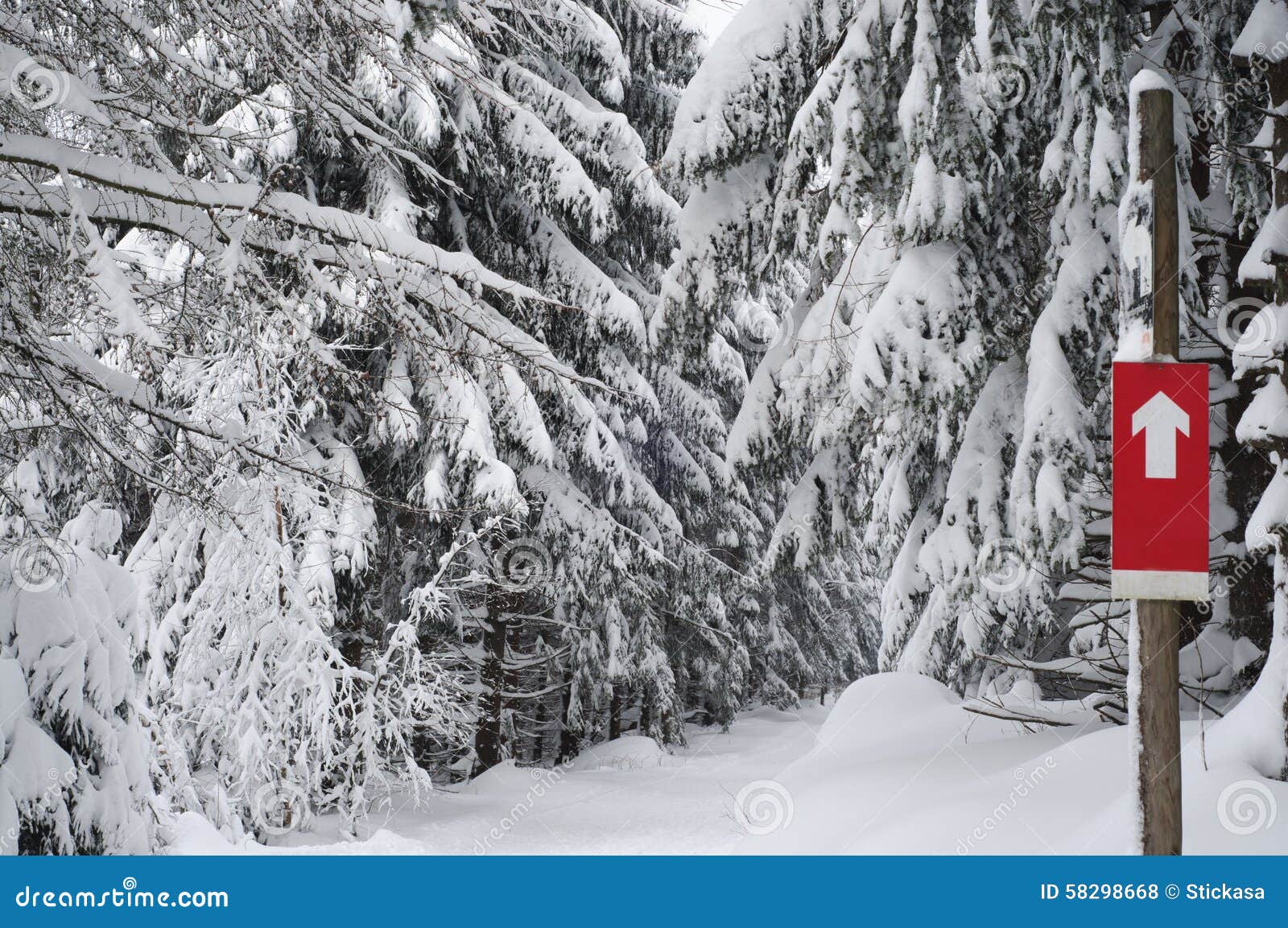 Cross Country Skiing Path - Winter Landscape Stock Photo - Image of ...