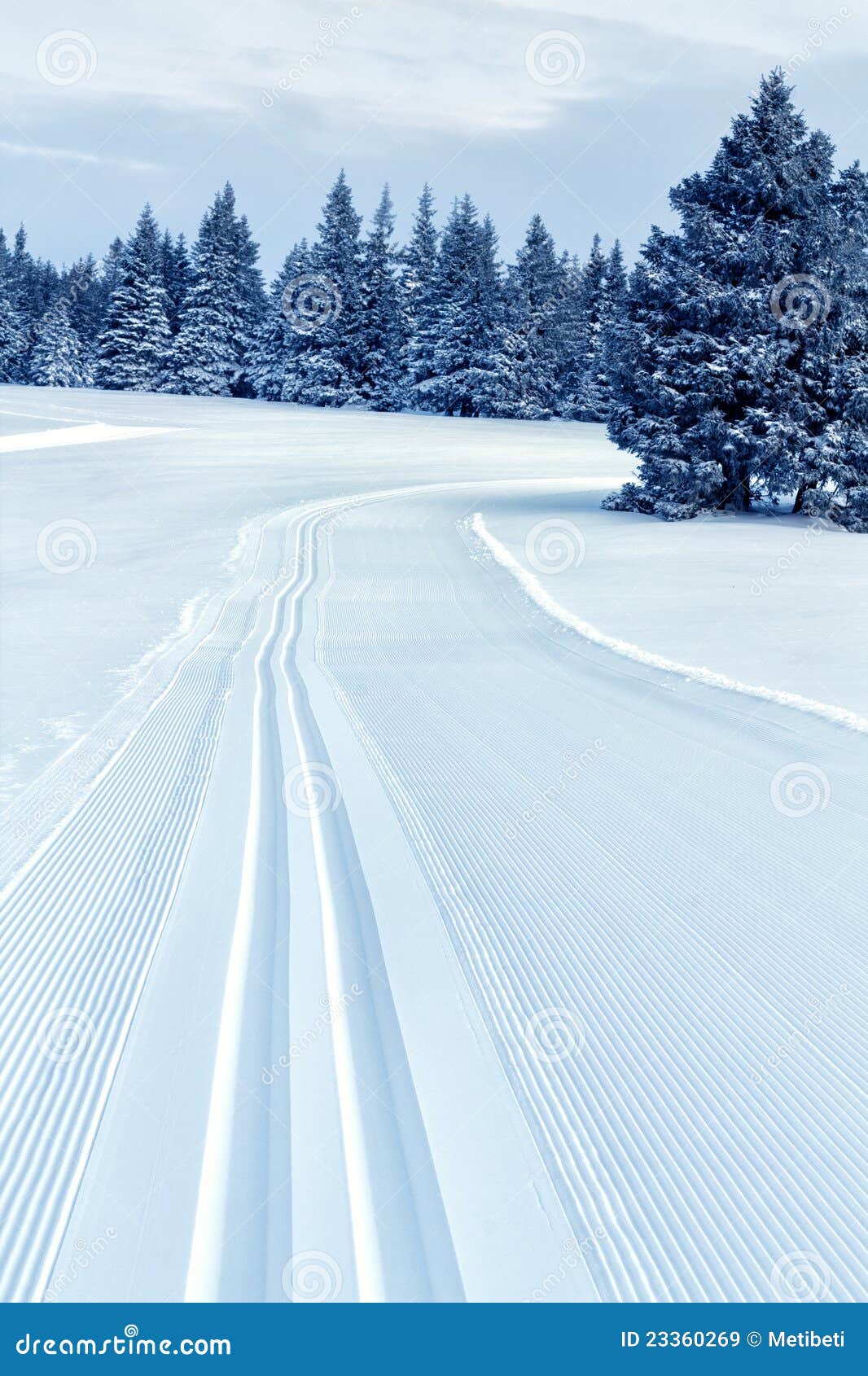 Cross Country Skiing Track stock image. Image of snow - 23360269