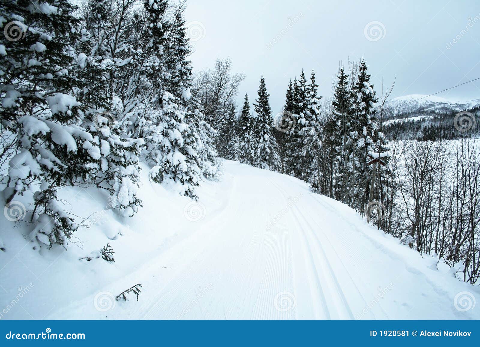 Cross Country Skiing Trail 2 Stock Image - Image of alpine, outdoors ...
