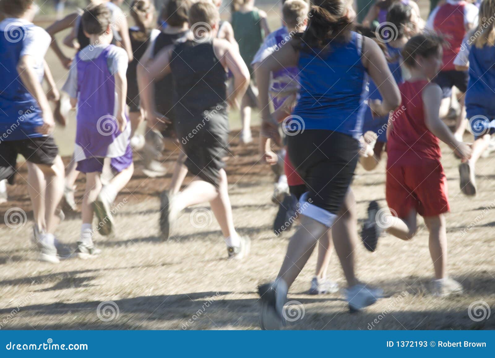 Cross Country Team Runners Leaving the Starting Line Stock Image ...
