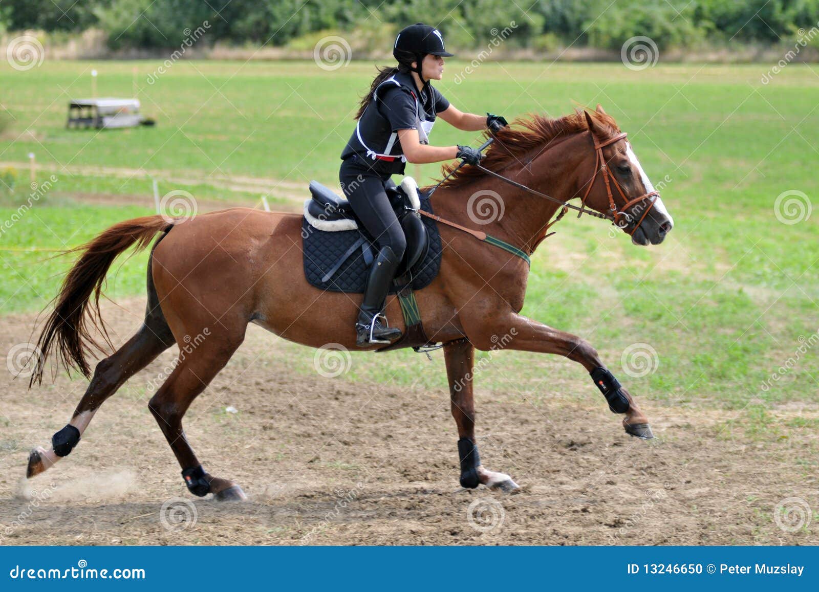 Cuntry Championship Stock Photos - Free & Royalty-Free Stock Photos ...