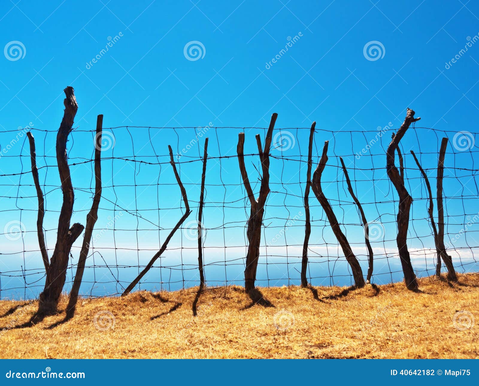 Cross fence stock photo. Image of link, cross, fence - 40642182