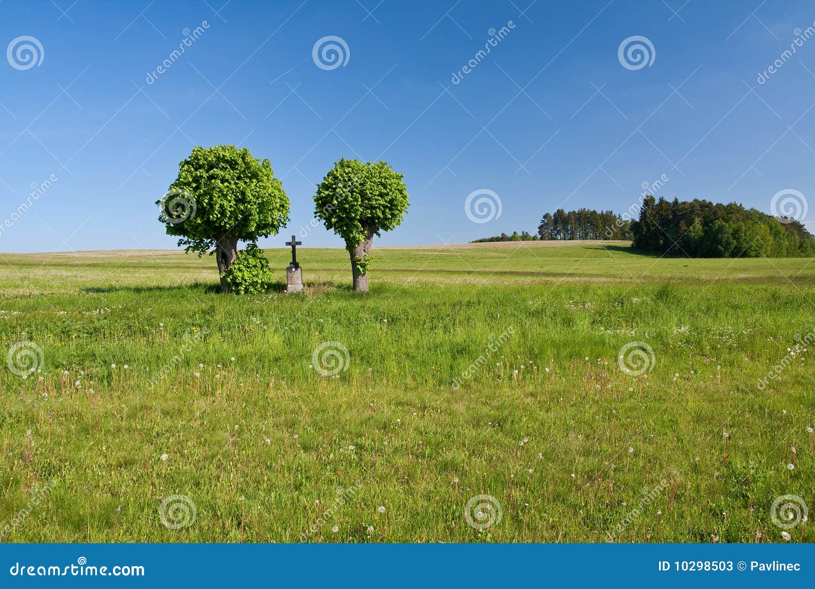 Cross in the field stock image. Image of rural, grass - 10298503