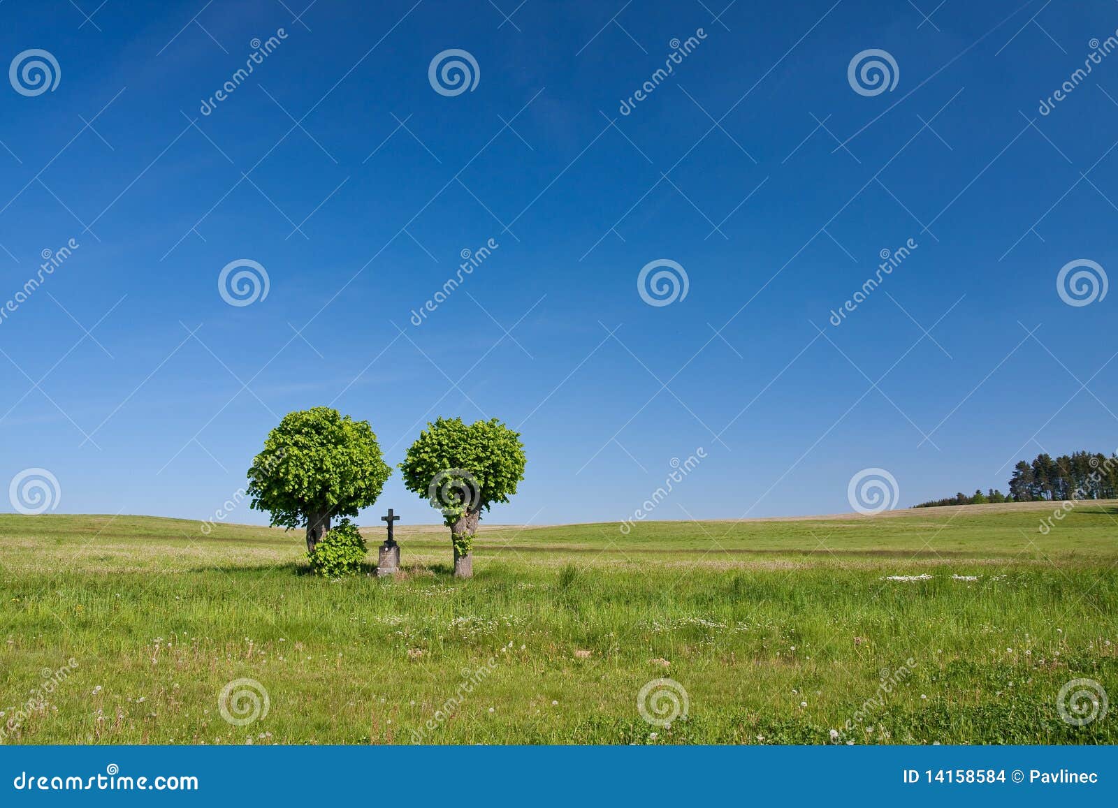 Cross in the field stock photo. Image of fresh, beautiful - 14158584