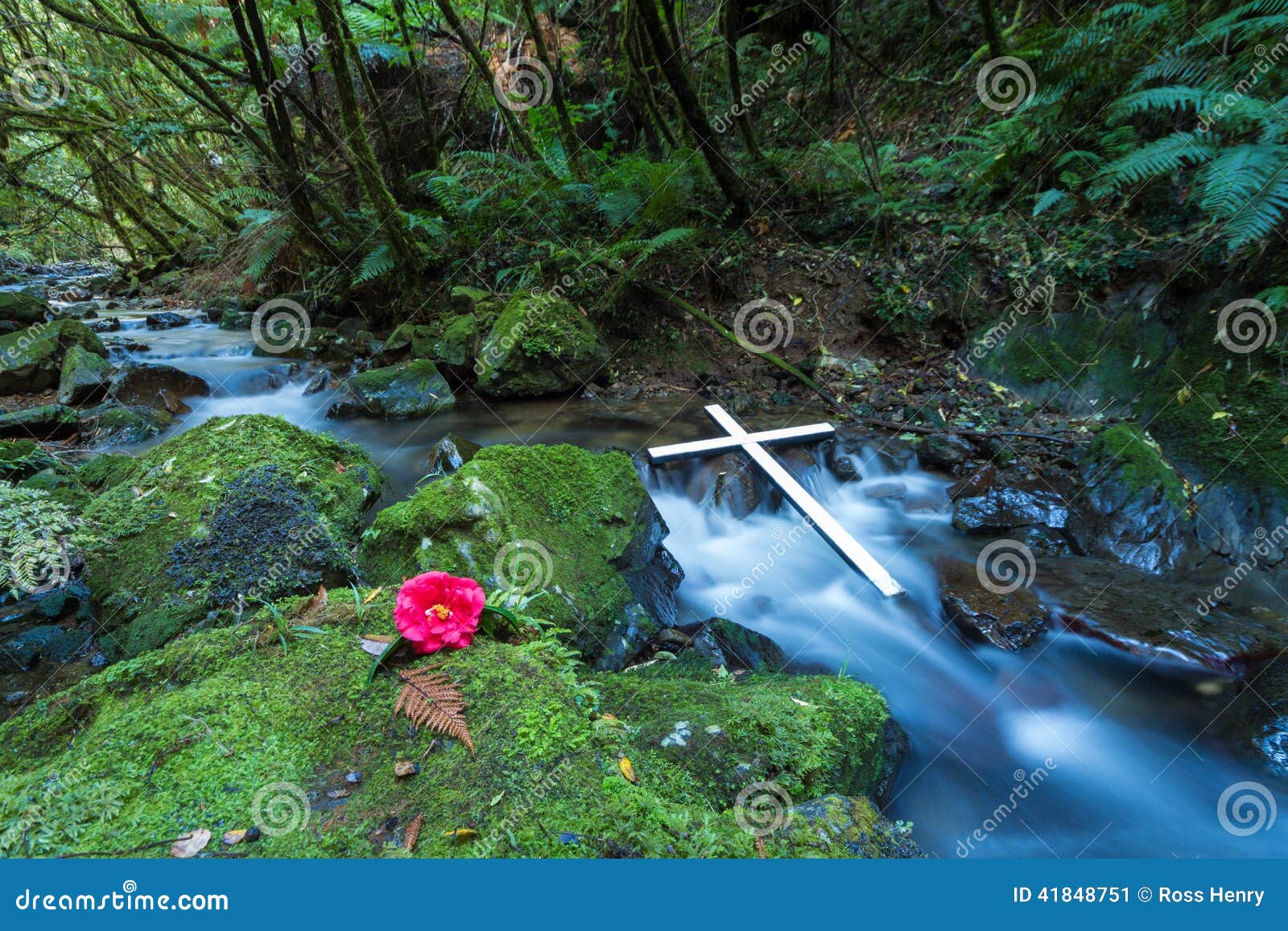 Cross Flowing Stream stock image. Image of outdoor, rock - 41848751