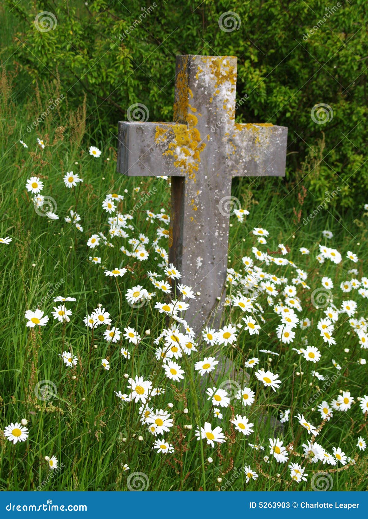 Cross gravestone stock image. Image of religion, headstone - 5263903