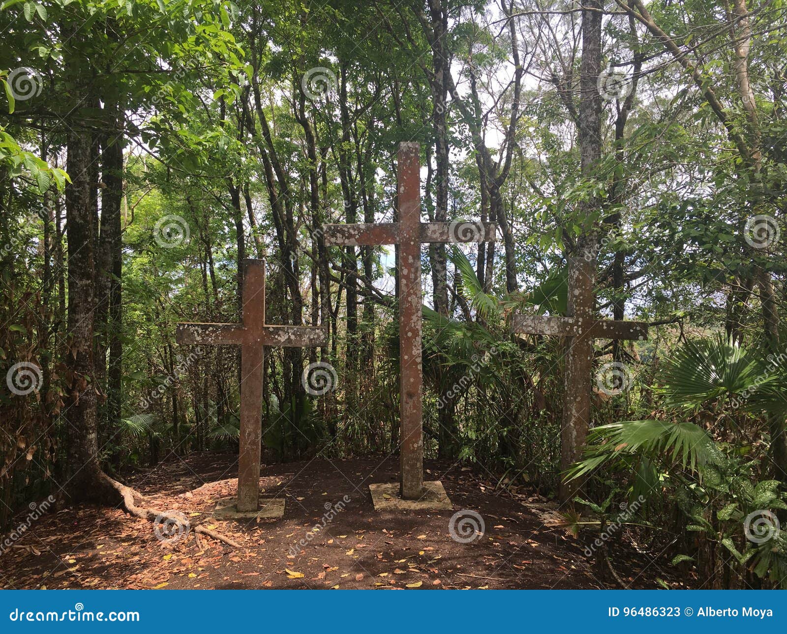 Cross stock image. Image of three, mountain, forest, jungle - 96486323