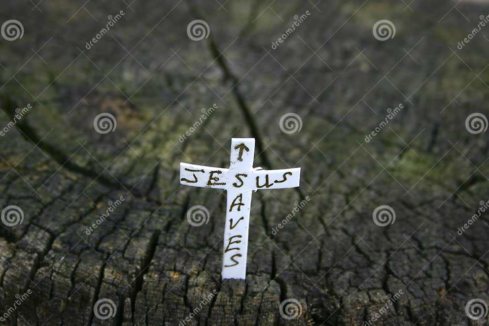 Cross in a log stock photo. Image of christian, evangelism - 1271606