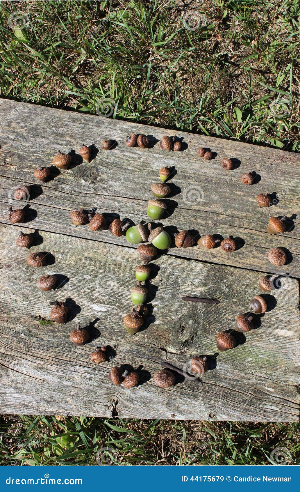 Cross Made Acorns Photos - Free & Royalty-Free Stock Photos from Dreamstime