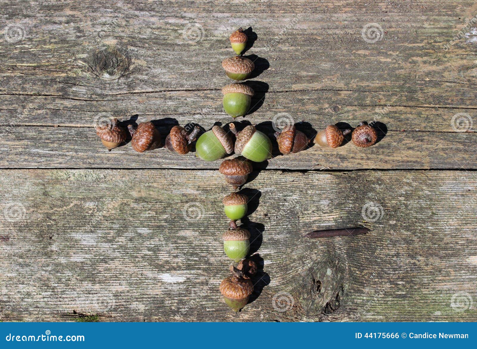 Cross Made of Acorns stock photo. Image of acorn, christian - 44175666