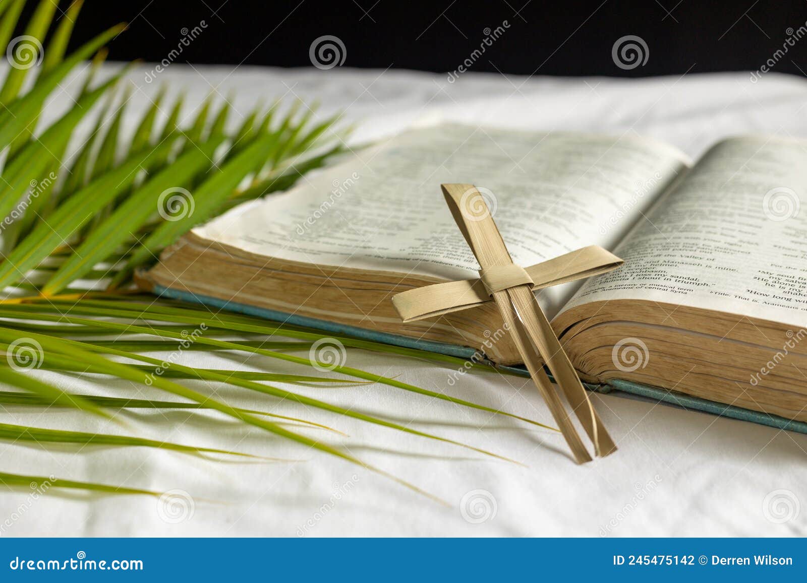 Cross Made from Palm Leaf with Bible and Palm Leaf Stock Photo - Image ...