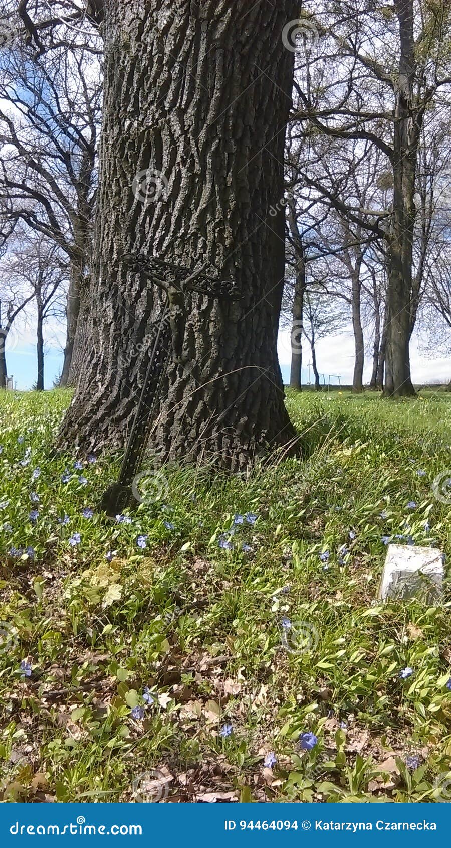 Cross stock photo. Image of cross, orthodox, tombstone - 94464094
