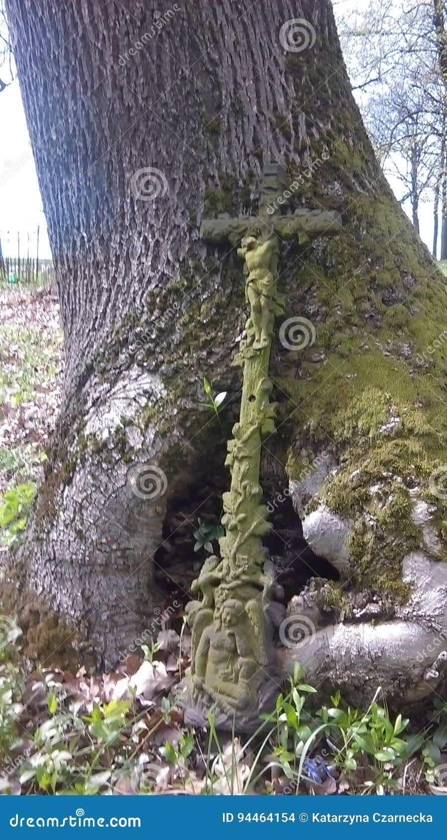 Cross stock photo. Image of tree, carved, view, trunk - 94464154