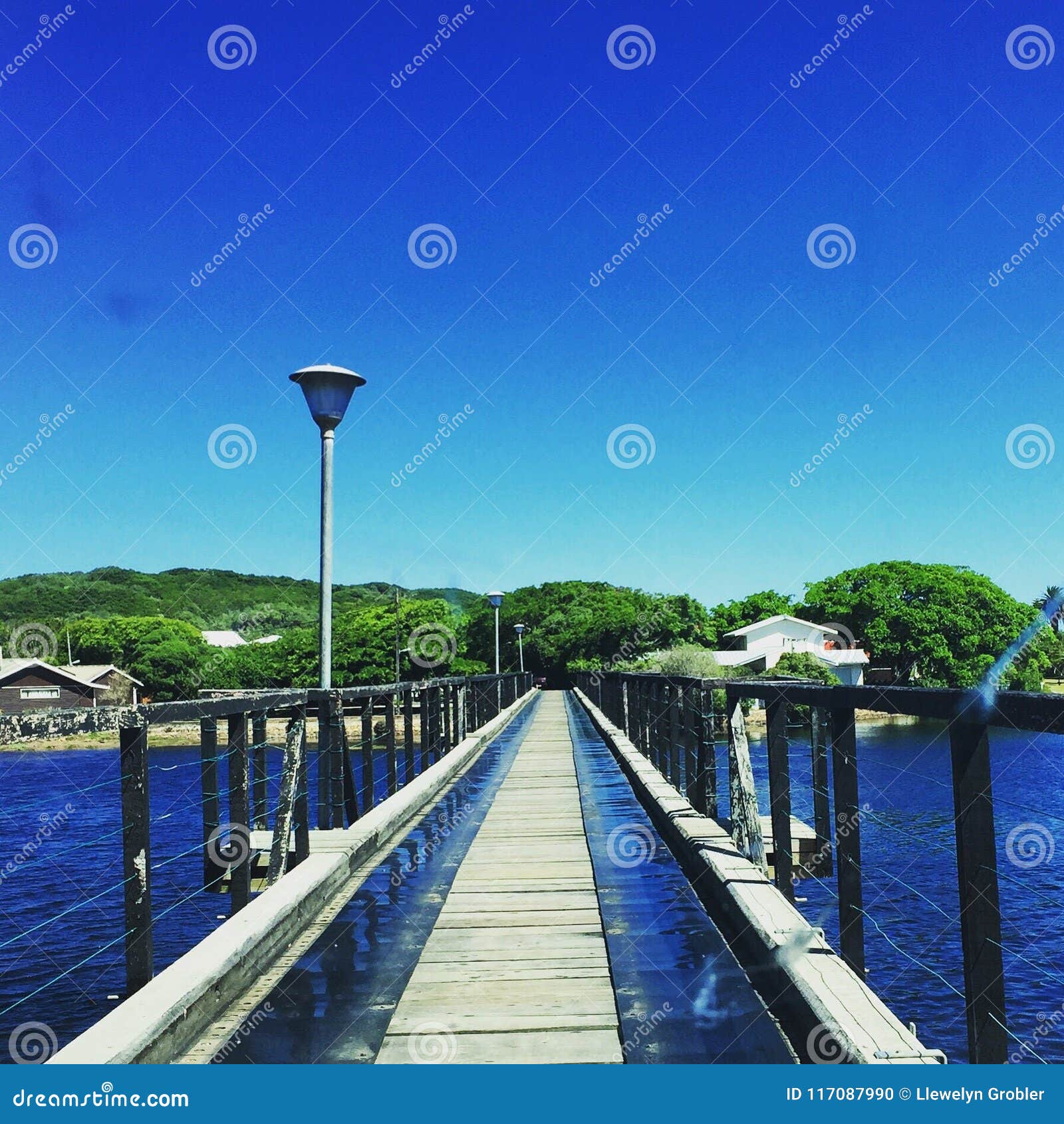 Majestic Bridge Lagoon stock photo. Image of majestic - 117087990