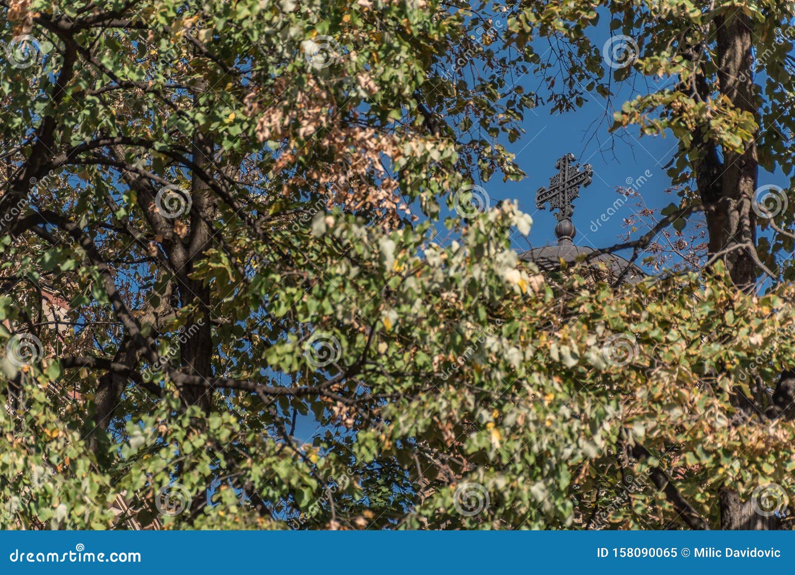 A cross behind a trees stock image. Image of church - 158090065