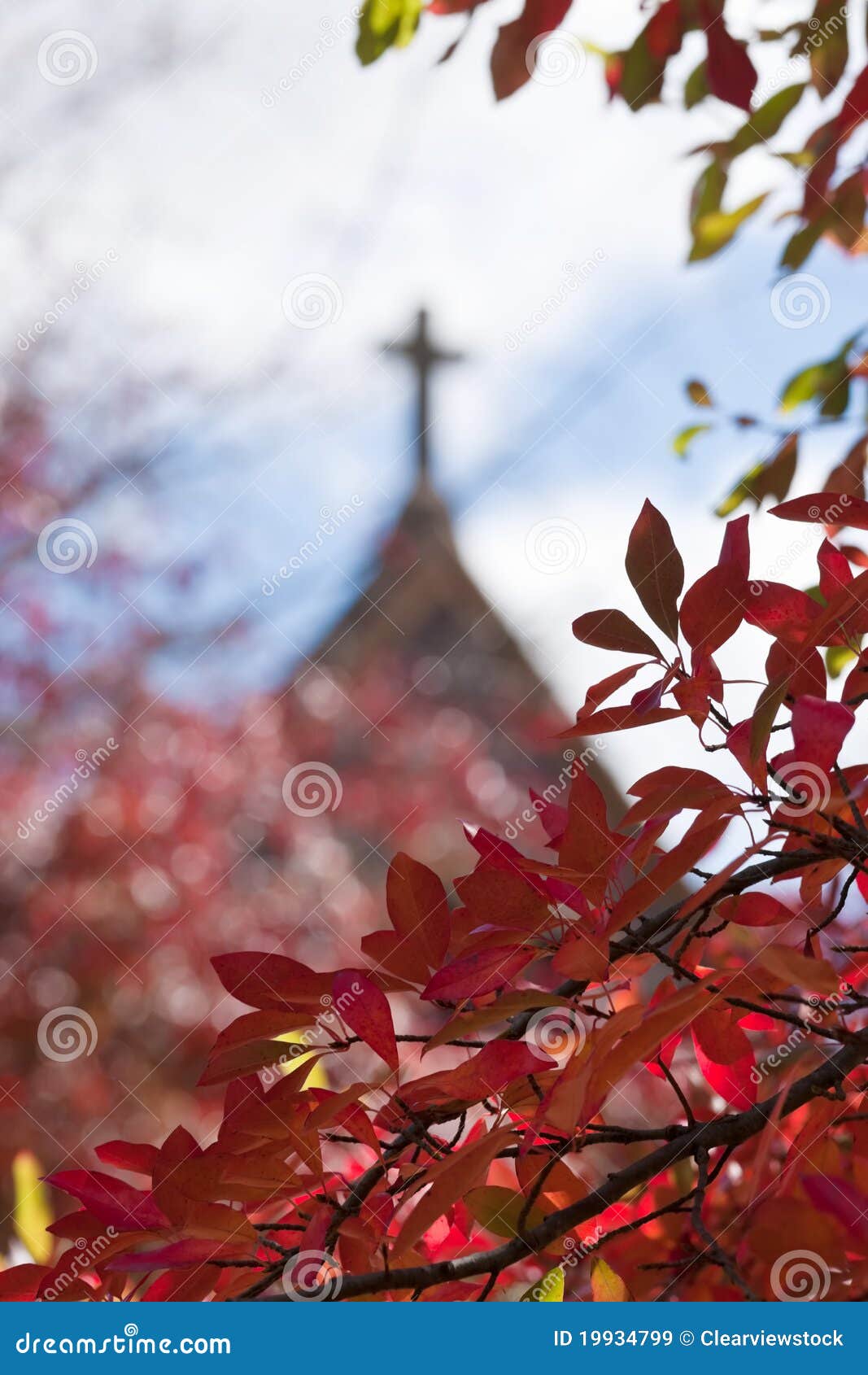 Cross through Red Autumn Leaves Stock Image - Image of tree, season ...
