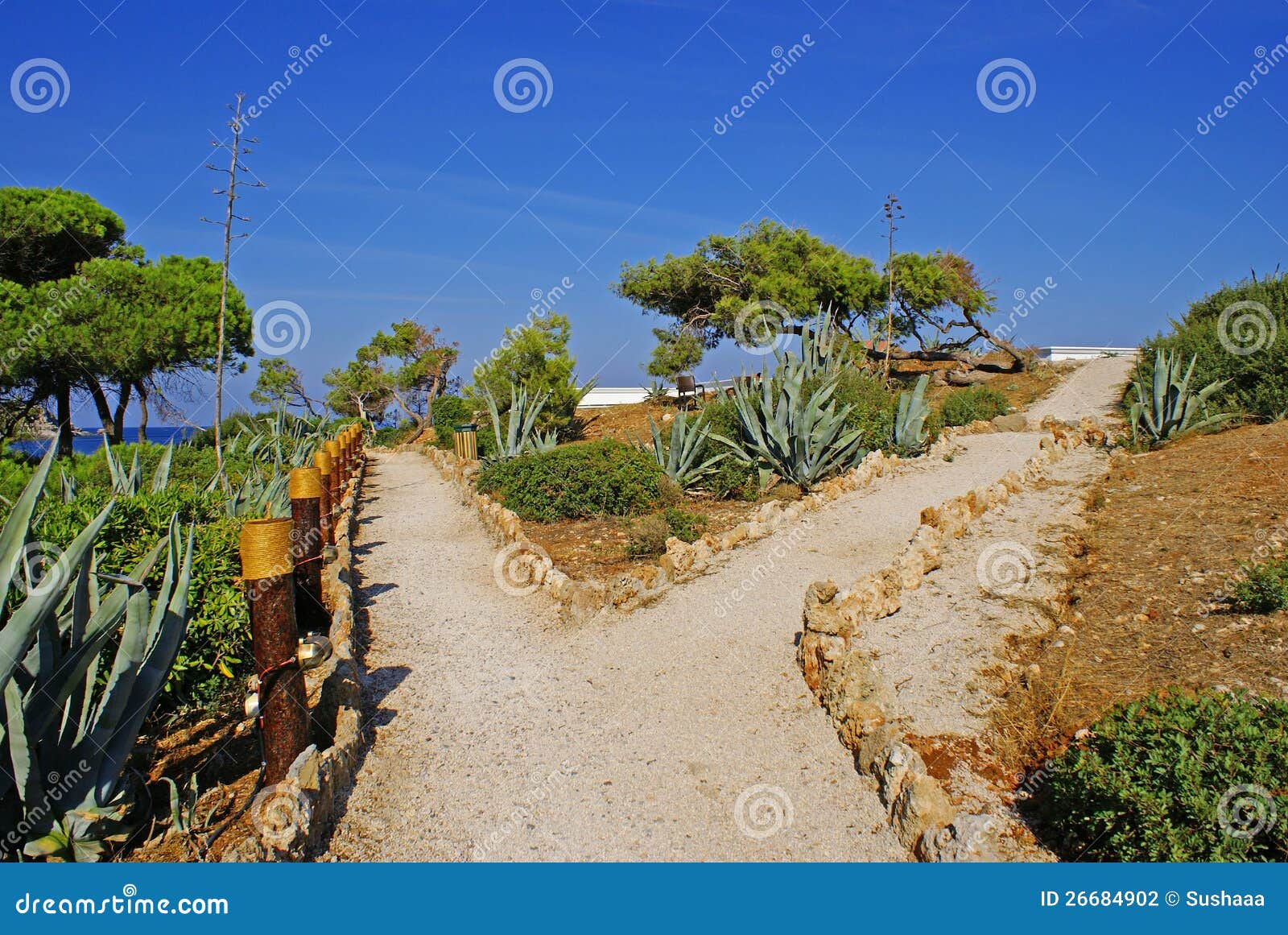 Cross road, pathway, park stock photo. Image of path - 26684902