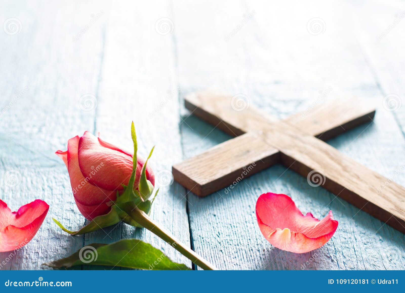 Cross and Rose Abstract Easter Religion Concept Background Stock Image ...
