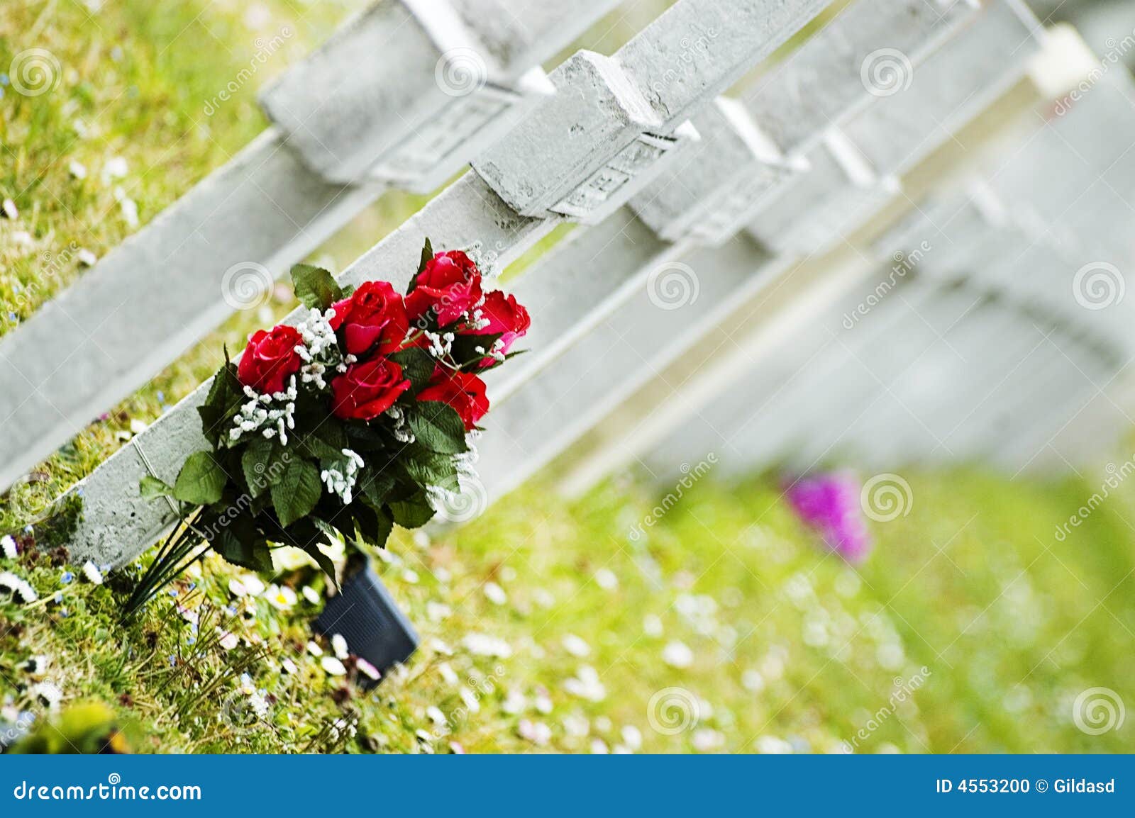 Cross and Roses in a Cemetery Stock Photo - Image of sadness, france ...
