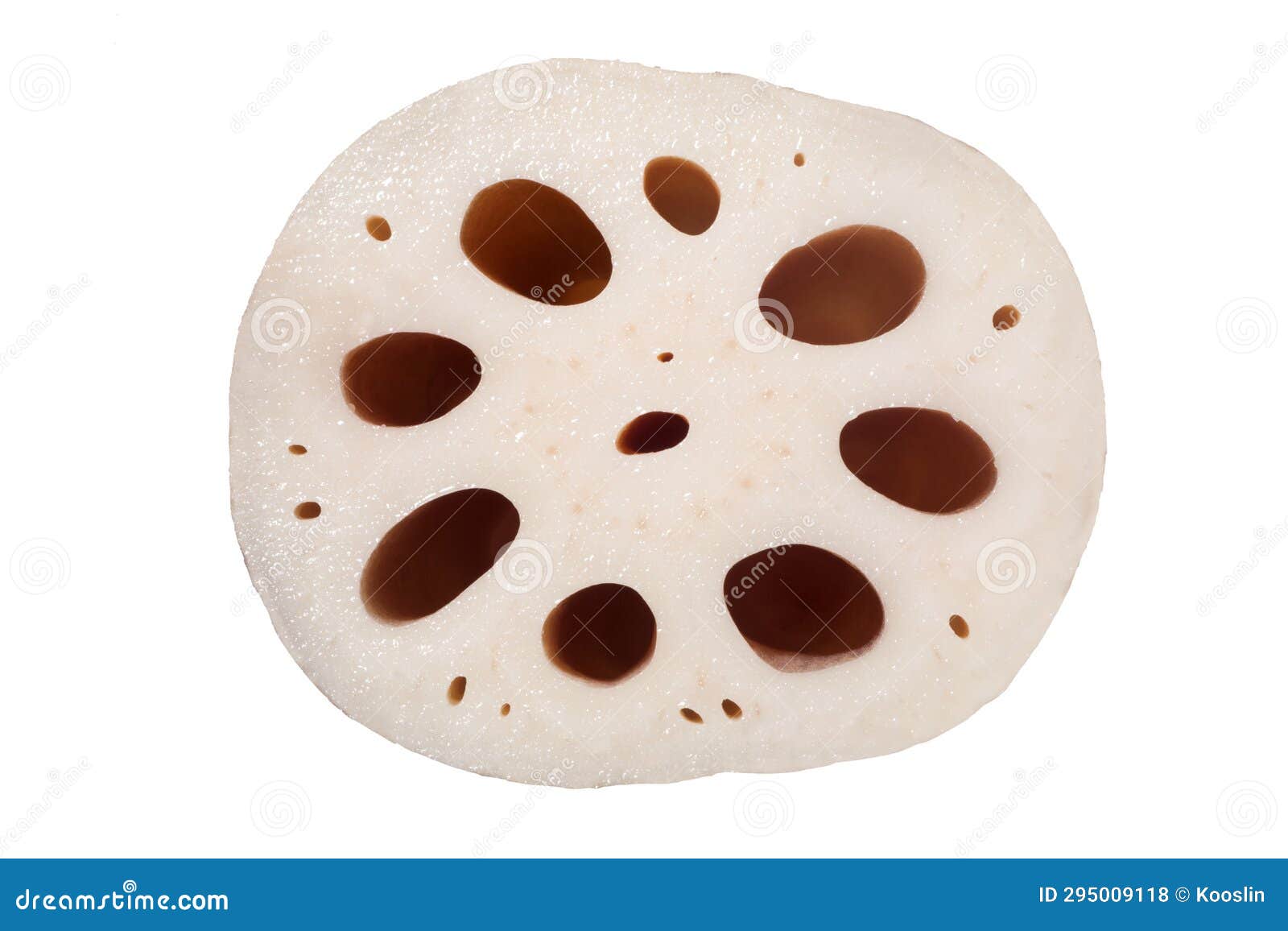 Cross-section of Lotus Root Stock Photo - Image of fresh, isolation ...