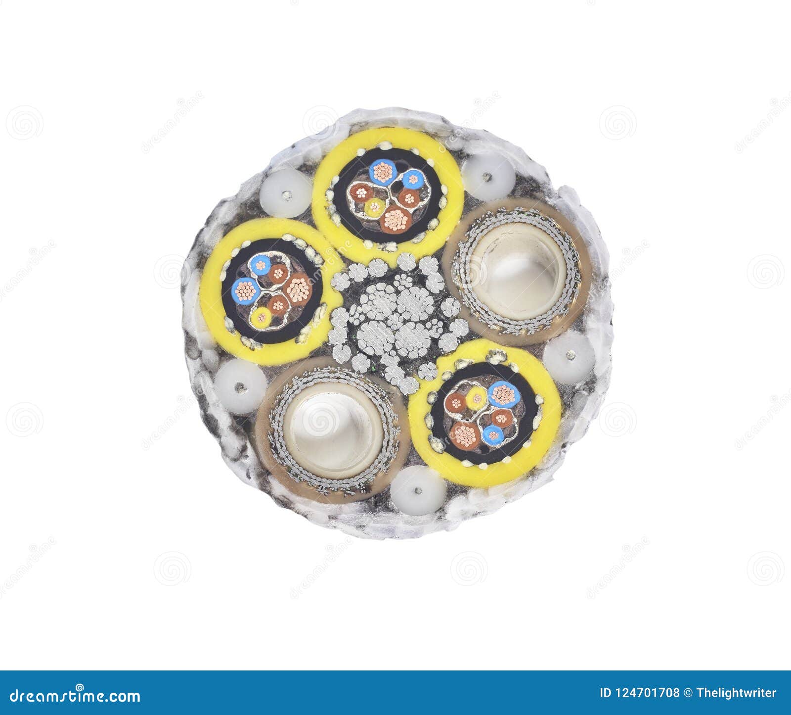 Cross Section Armored Cable Isolated on White. Stock Photo - Image of ...