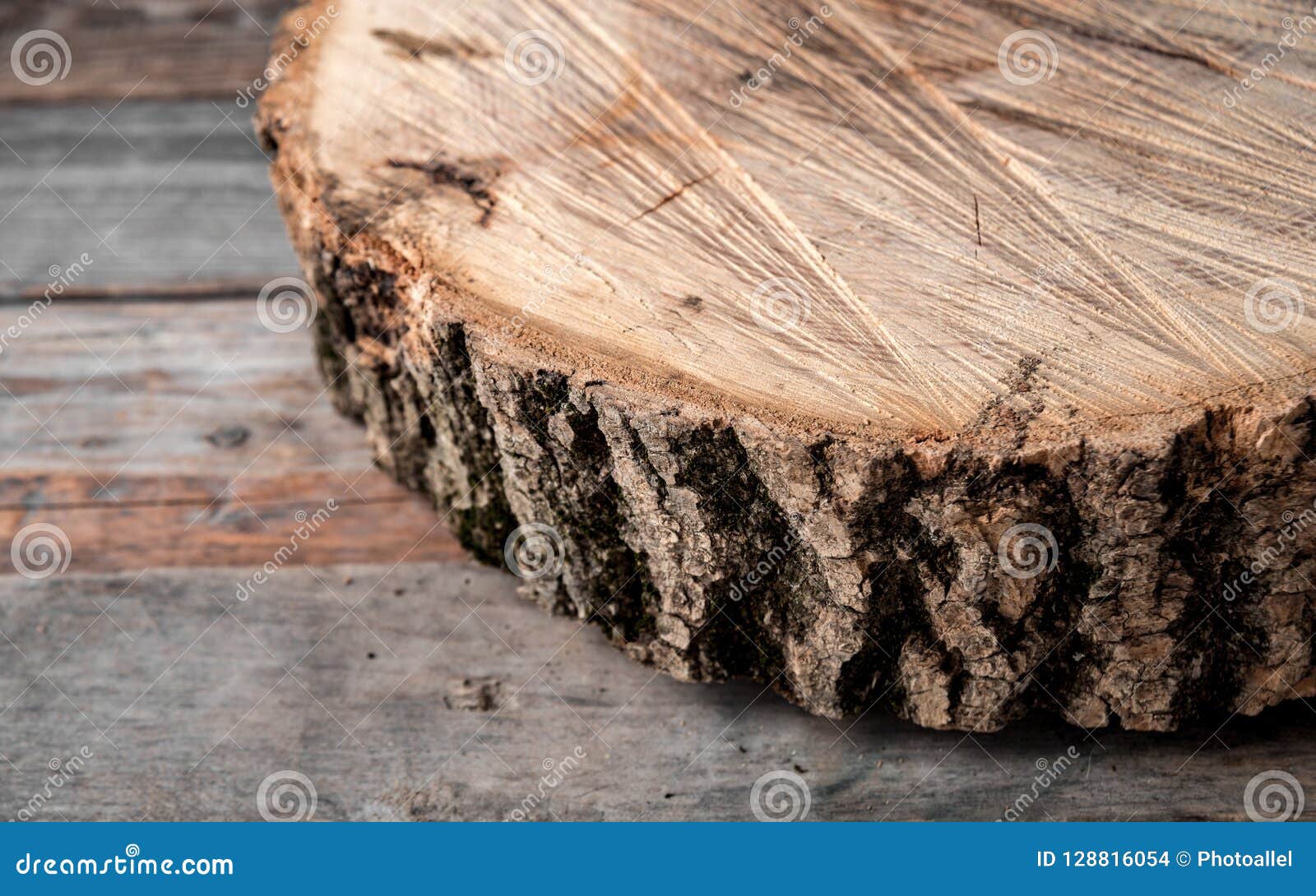 Cross Section of the Big Old Tree on a Rustic Table Stock Photo - Image ...