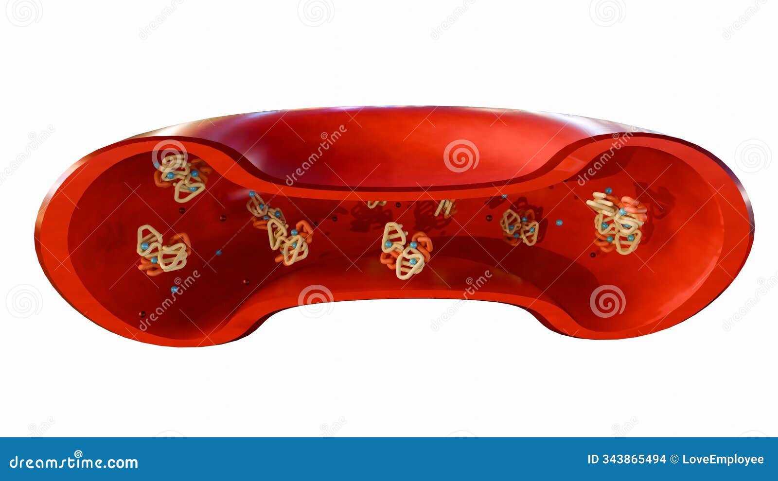 Cross-section of a Blood Vessel with the Components of Blood. Stock ...