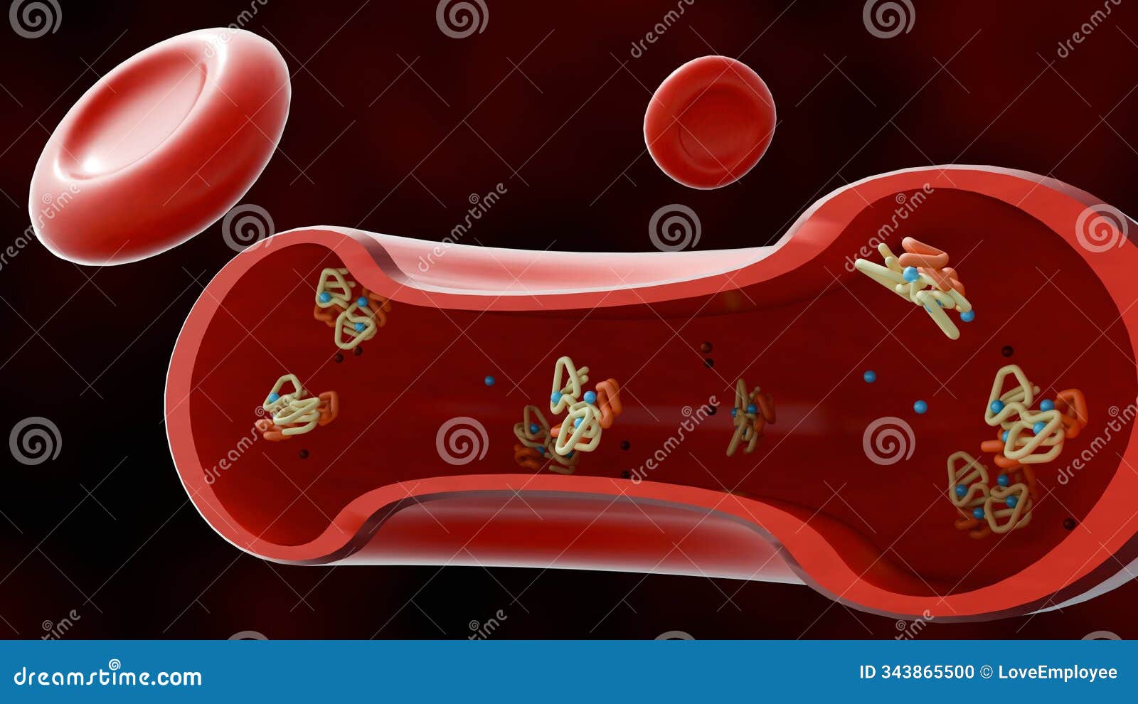 Cross-section of a Blood Vessel with the Components of Blood. Stock ...