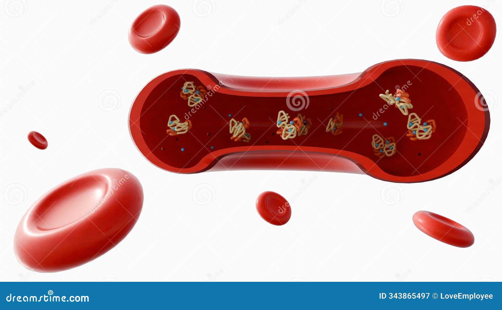 Cross-section of a Blood Vessel with the Components of Blood. Stock ...
