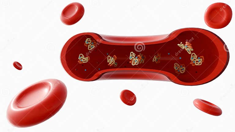 Cross-section of a Blood Vessel with the Components of Blood. Stock ...