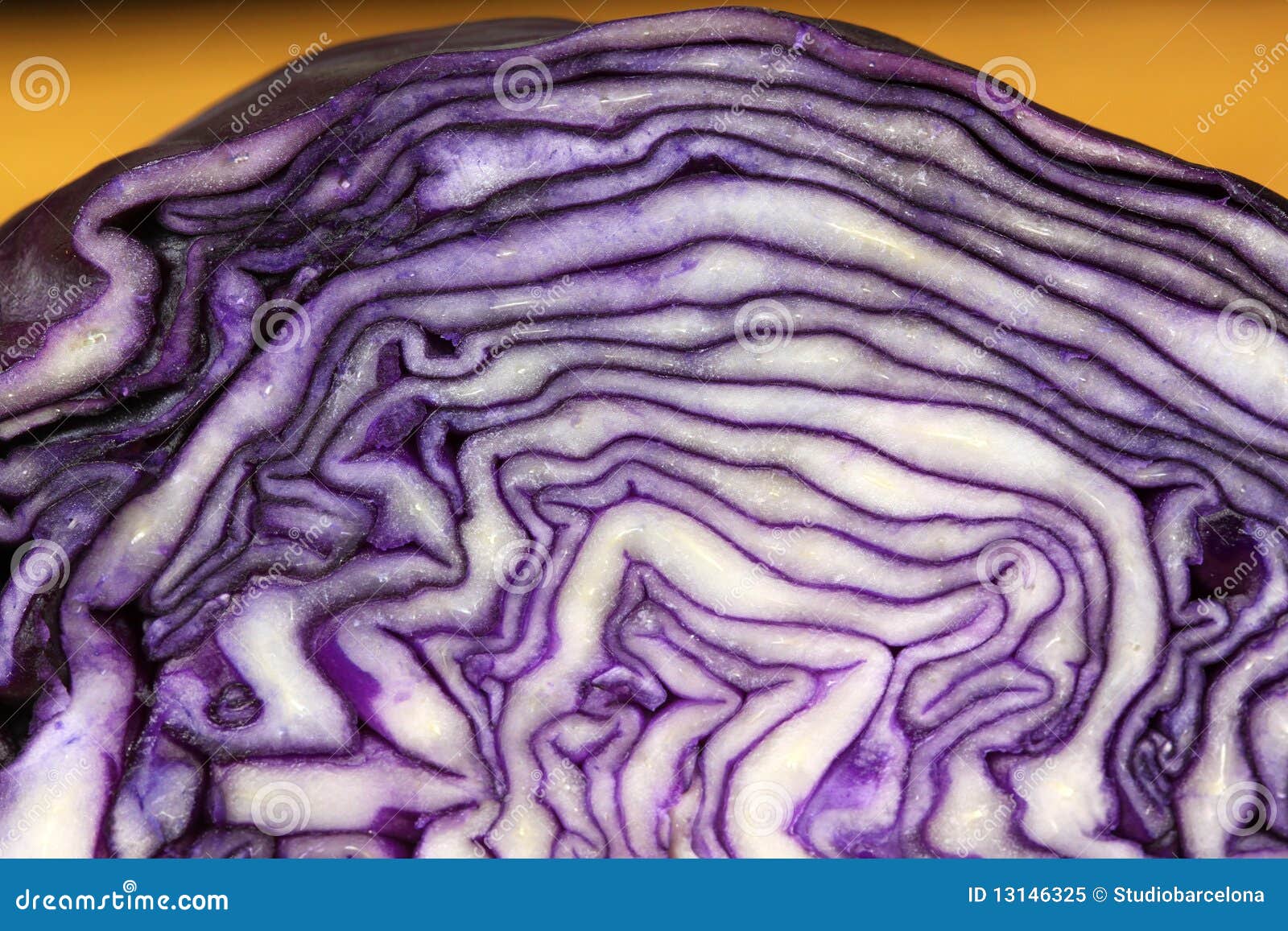 Cross section of cabbage stock image. Image of produce - 13146325