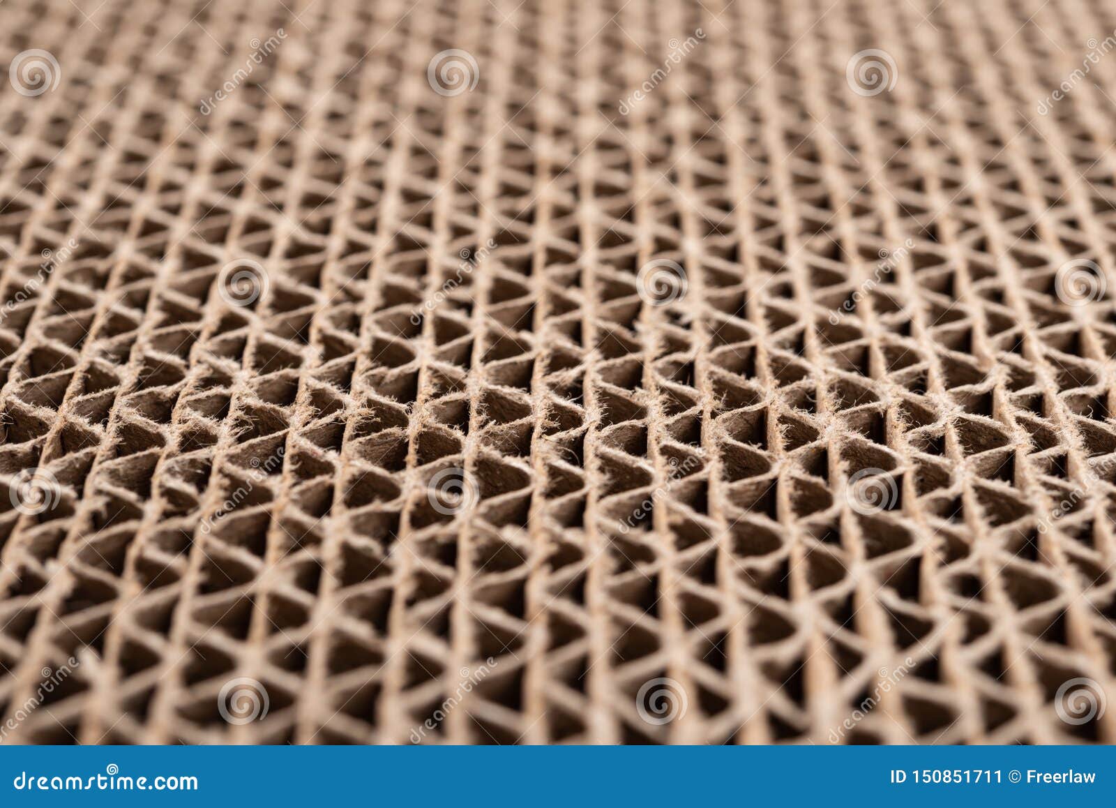 Cardboard Cross Section Stock Images - Download 80 Royalty Free Photos